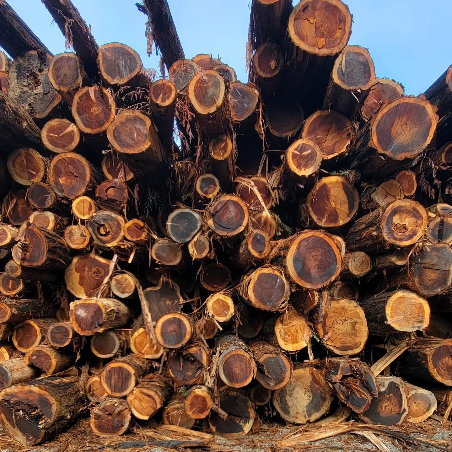 Firewood Farms – Reclaimed Wood Facility in Half Moon Bay, California