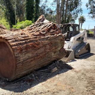 Firewood Farms – Reclaimed Wood Facility in Half Moon Bay, California